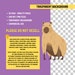30 Bundle Capybara Clipart | High Quality Transparent Pngs| Instant ...