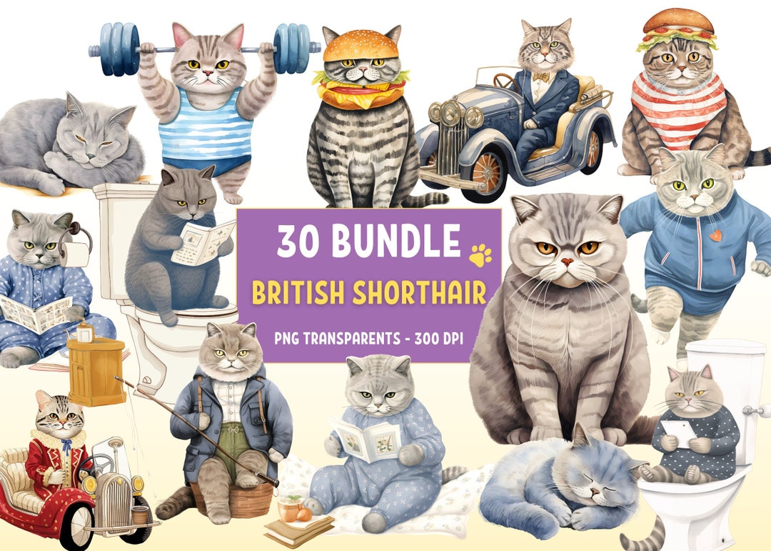 30 Bundle British Shorthair Clipart | Cute Cats | Puppy | Animal | Cats ...