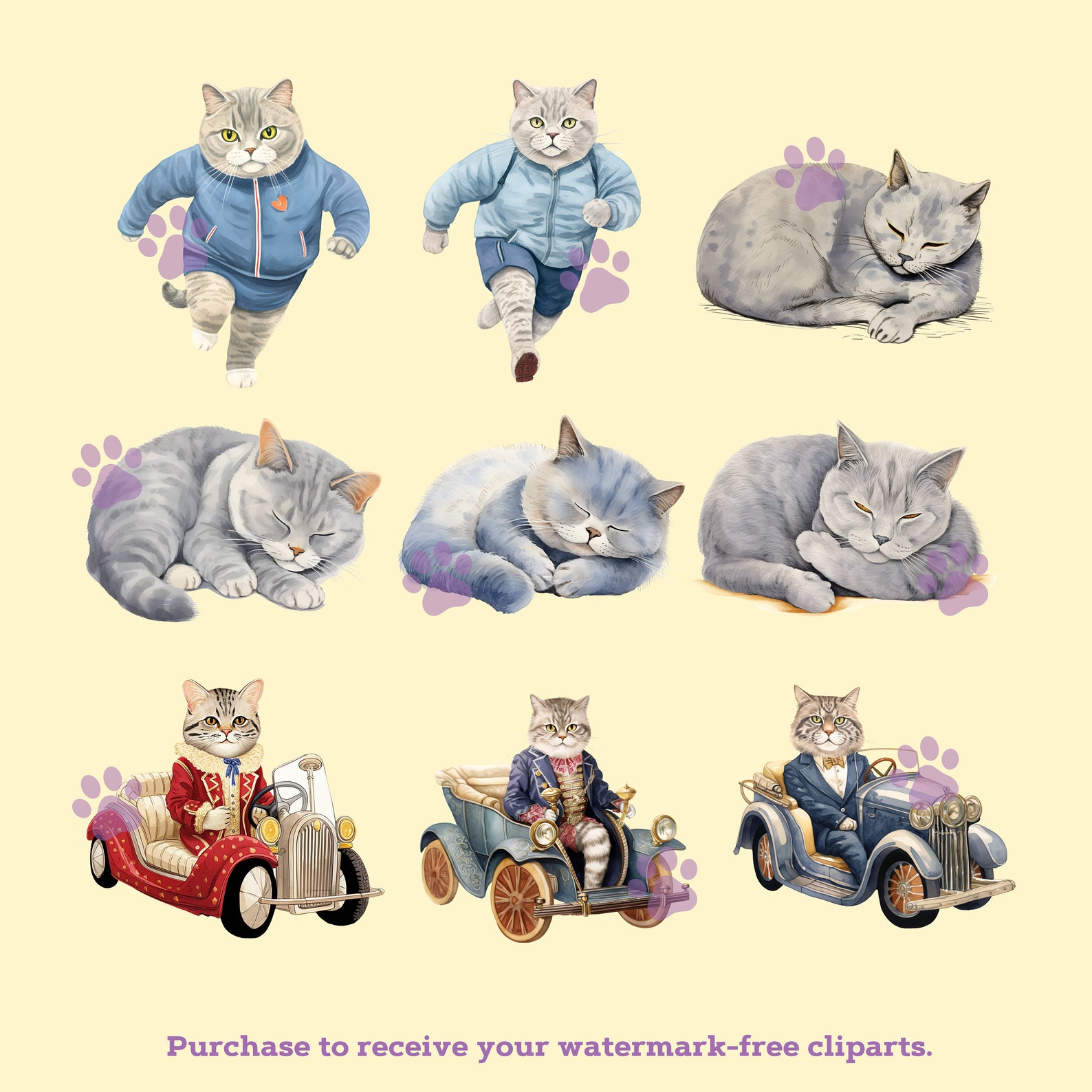 30 Bundle British Shorthair Clipart | Cute Cats | Puppy | Animal | Cats ...