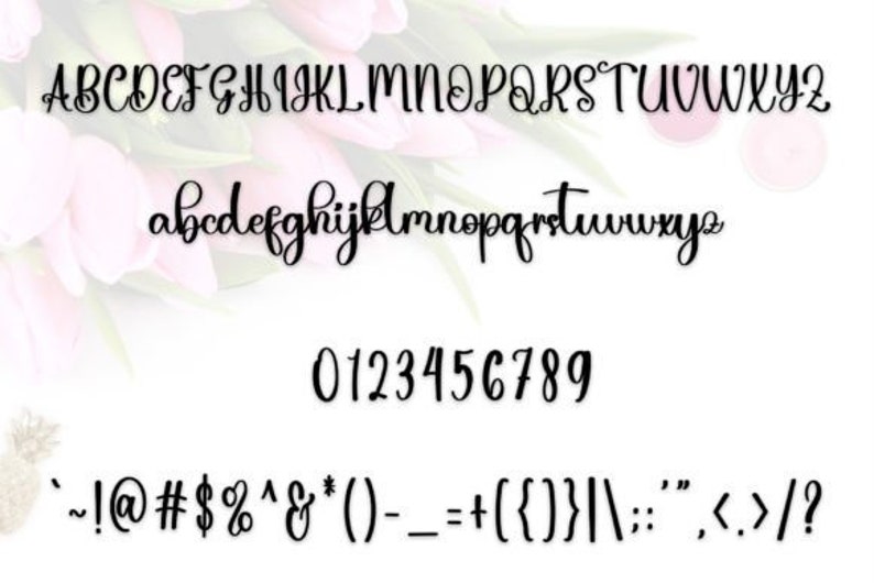 Airplane Font Bold Font Vintage Font Retro Calligraphy - Etsy