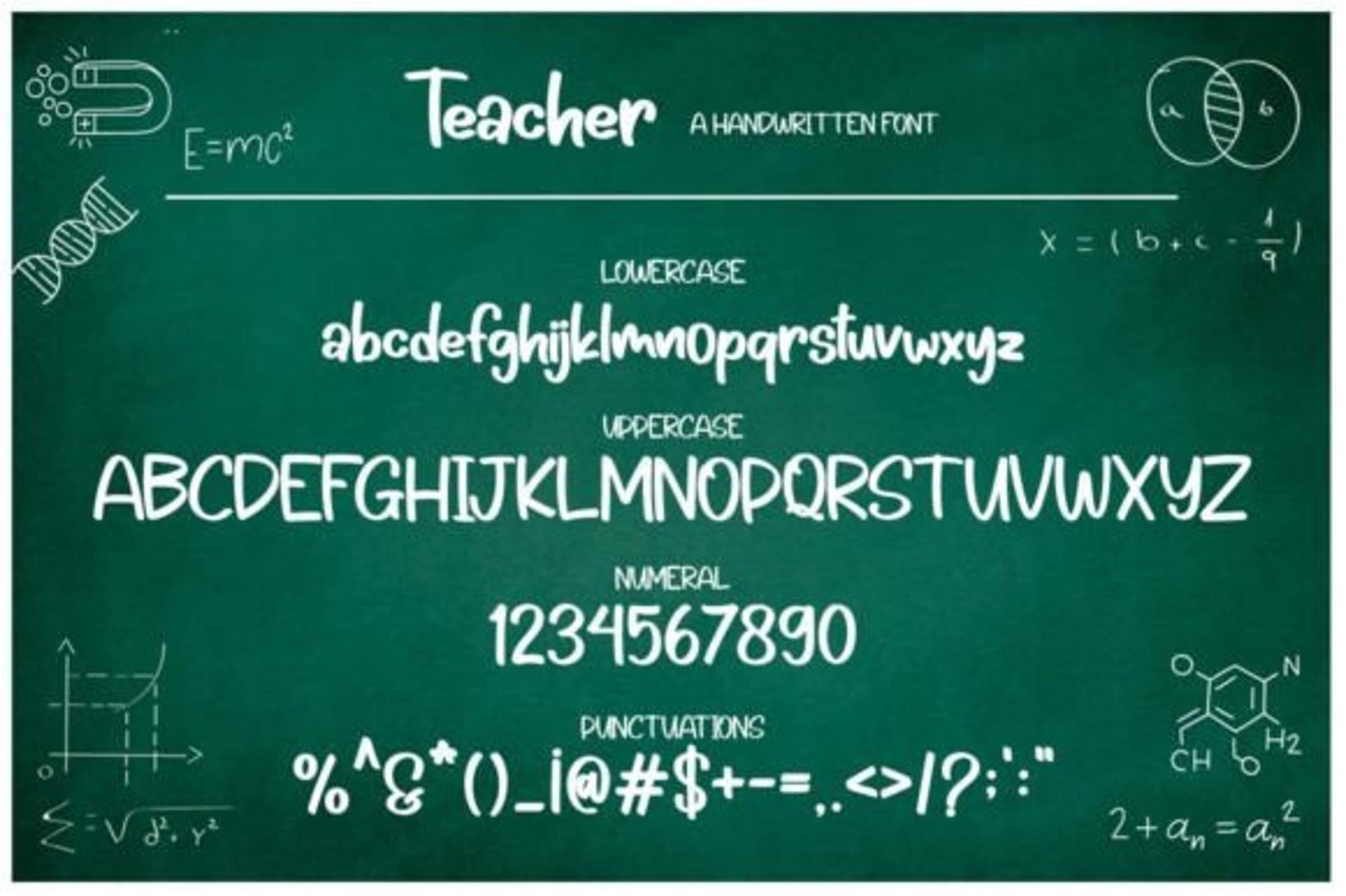 Teacher Font , Handwritten Font, Student Font, Modern Font, Display ...