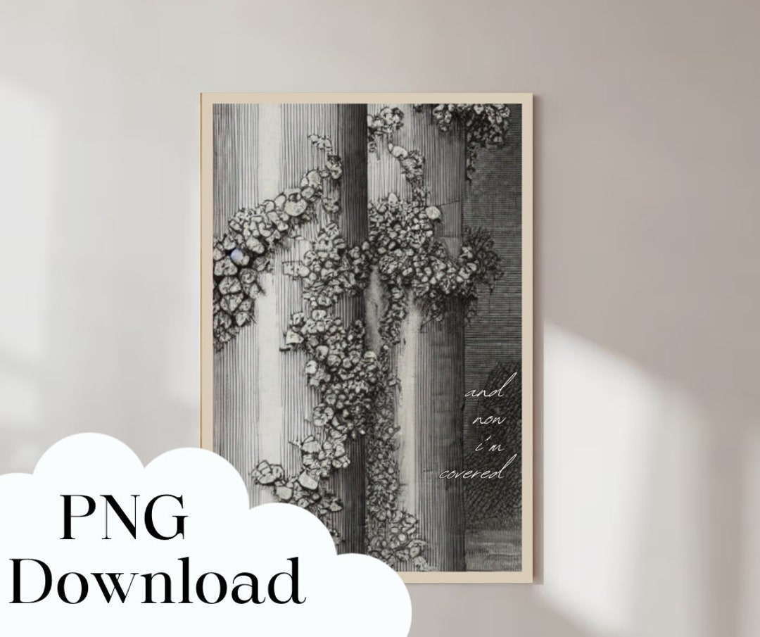 Ivy - Evermore | Swiftie | Poster | Gallery Wall | Taylor | Swift | and ...