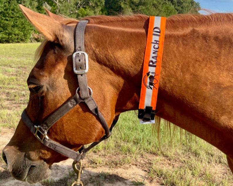 EMBROIDERED - High Viz/reflective (prismatic, or Glow in Dark) Horse ...
