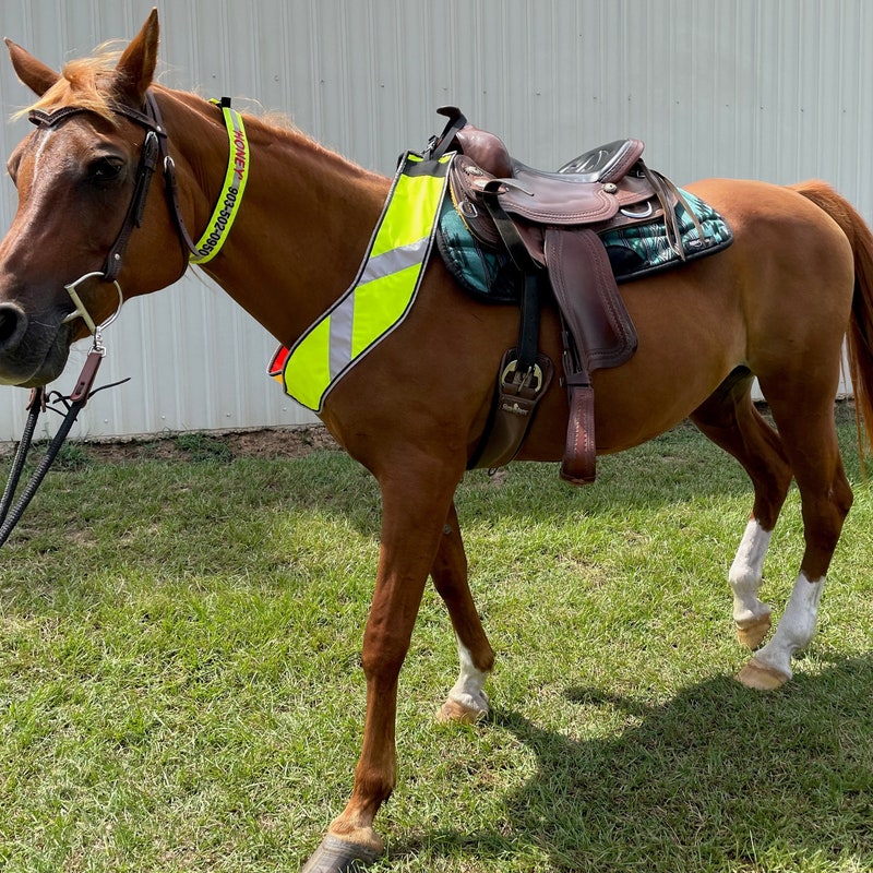 Neon Western Horse Tack - Etsy