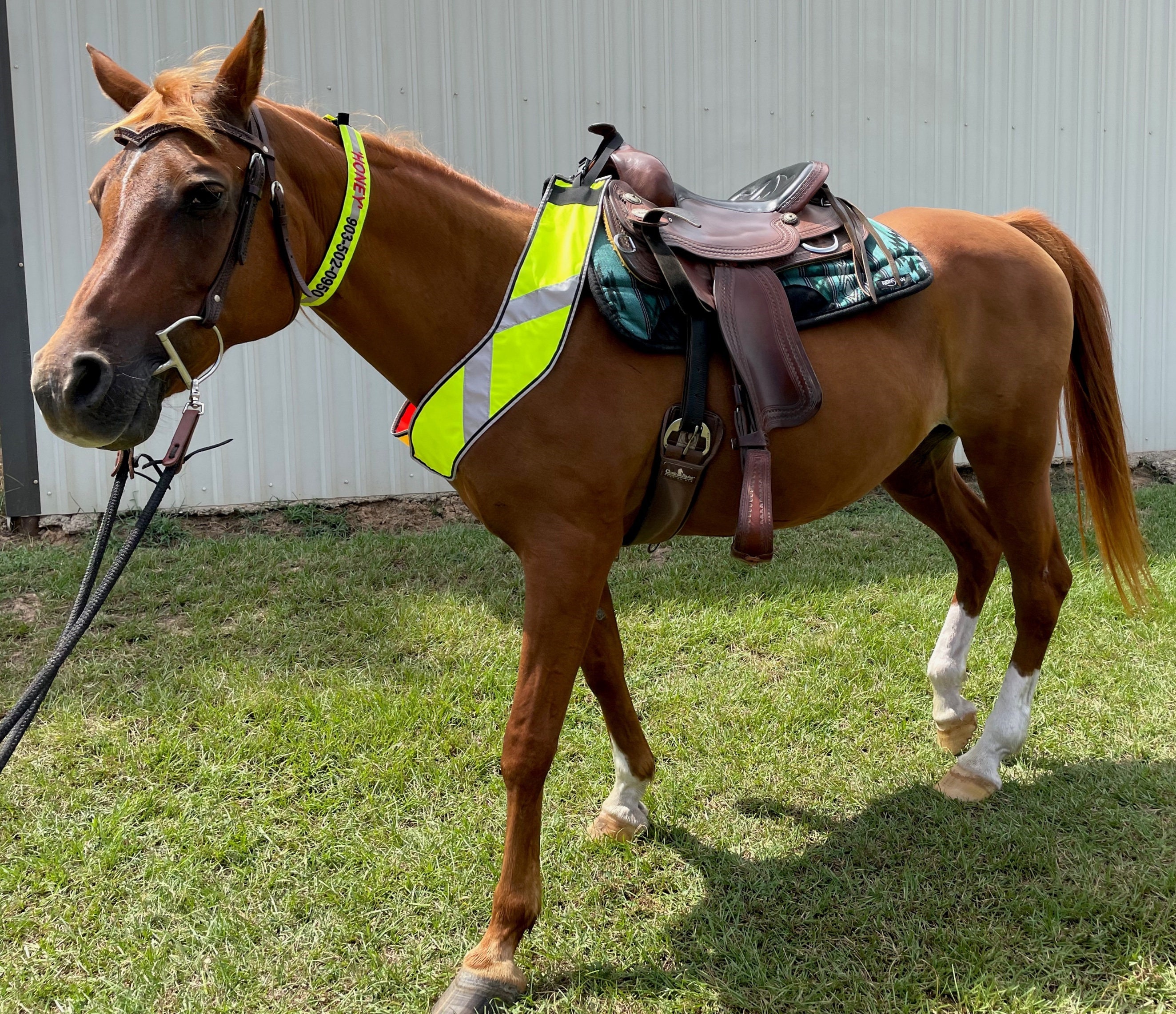 Hi Visibility, Reflective Horse Chest Collar, Reversable Neon Orange ...