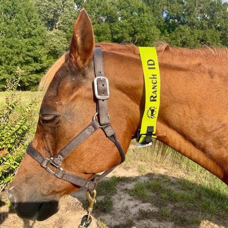 Horse Collar Rope - Etsy