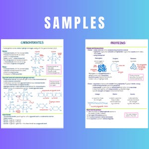 The Ultimate Biochemistry Notes Digital Reviewer Study PDF - Etsy