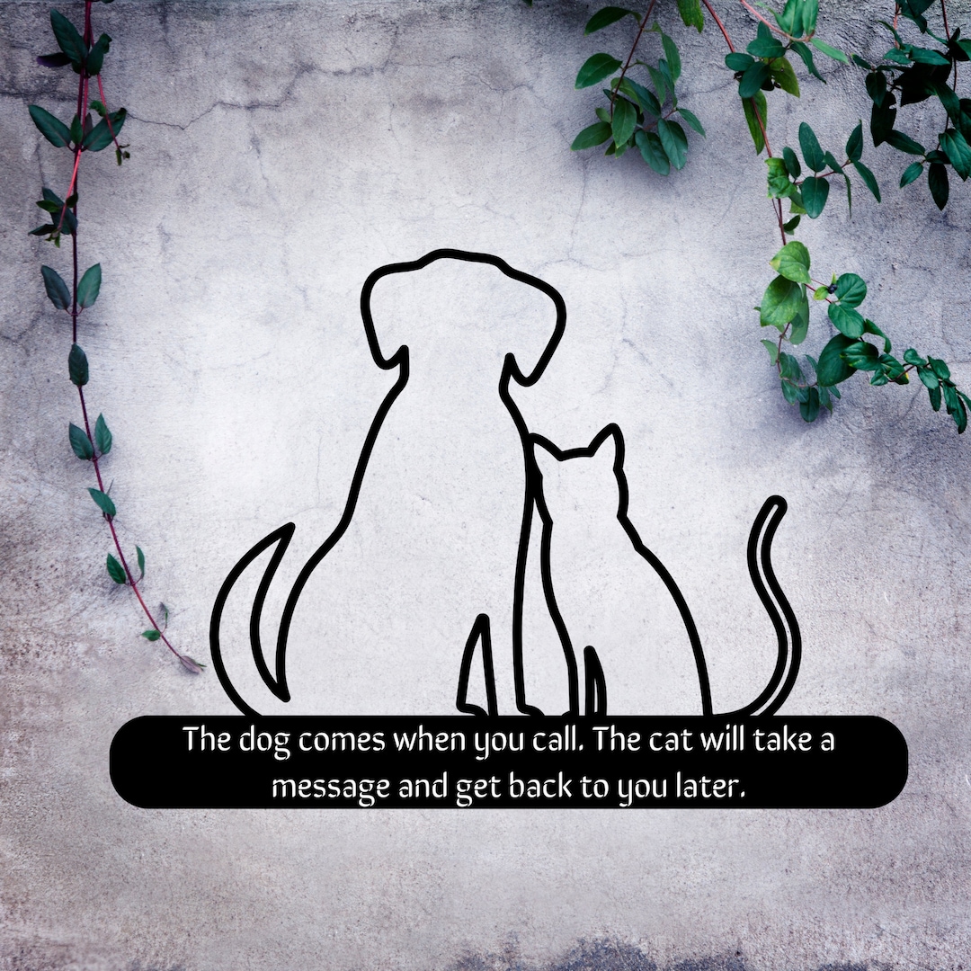 Cat and Dog Metal Sign, Pet Sign, Custom Pet Sign, Funny Pet Sign ...