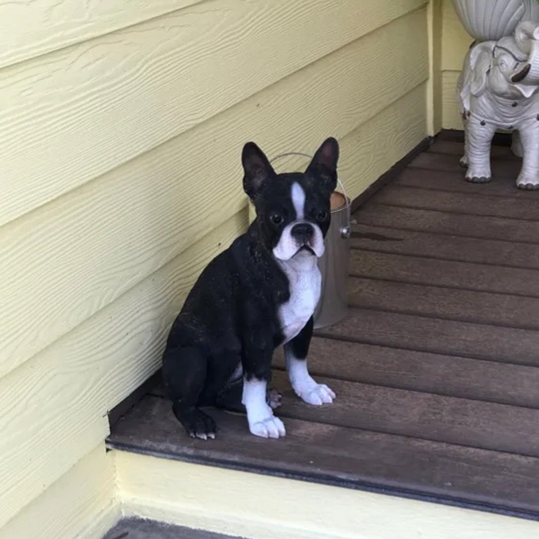 Dog Boston Terrier Statue Dog Statue Boston Terrier Animal - Etsy