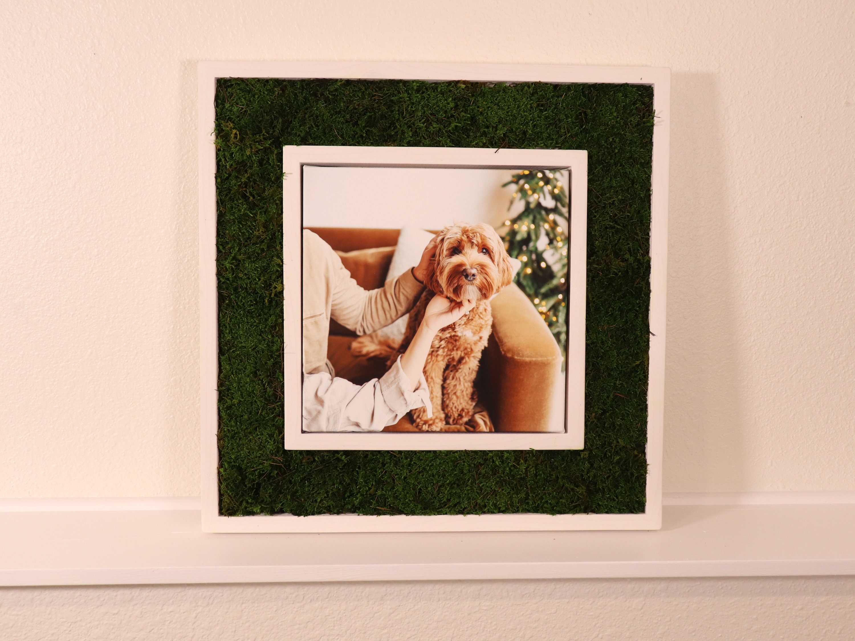 Custom Canvas Frame, Personalized Photo Gift, Wood Frame, Real Moss ...