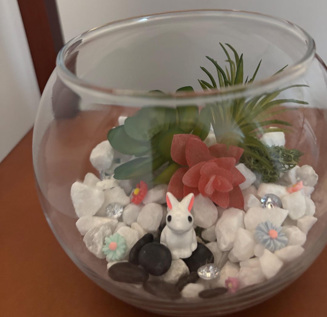 Create Your Own Terrarium Kit - Etsy