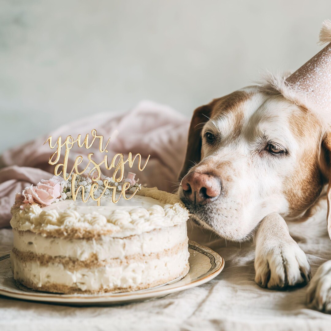 Cake Mockup, Cake Photo, Cake Topper Mockup, Cake Mock Up, Professional ...