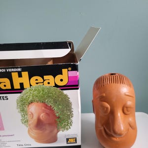 Chia Pet Guy With Seed Pack, Decorative Pottery Planter, Novelty Gift ...