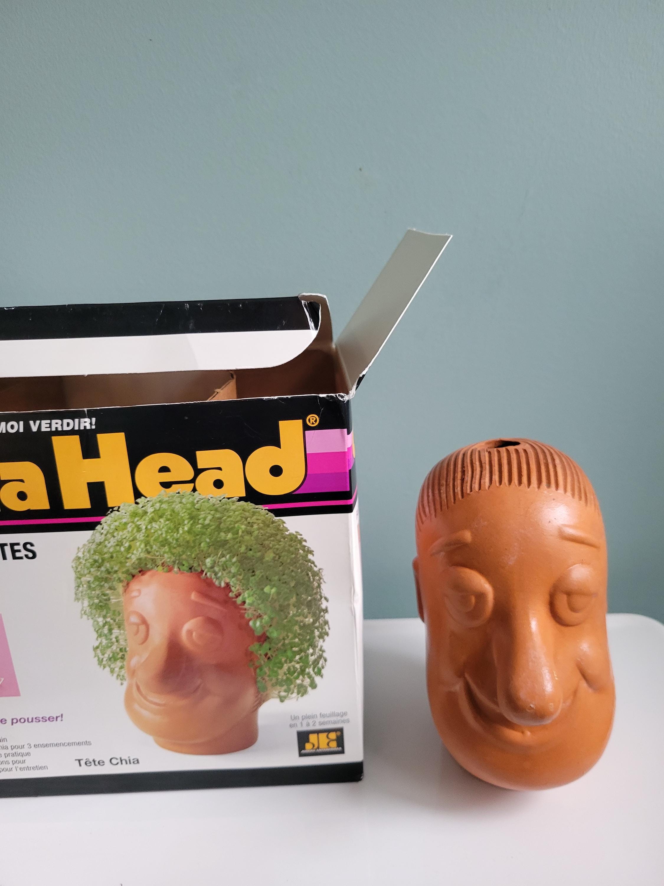 Chia Pet Guy With Seed Pack, Decorative Pottery Planter, Novelty Gift ...