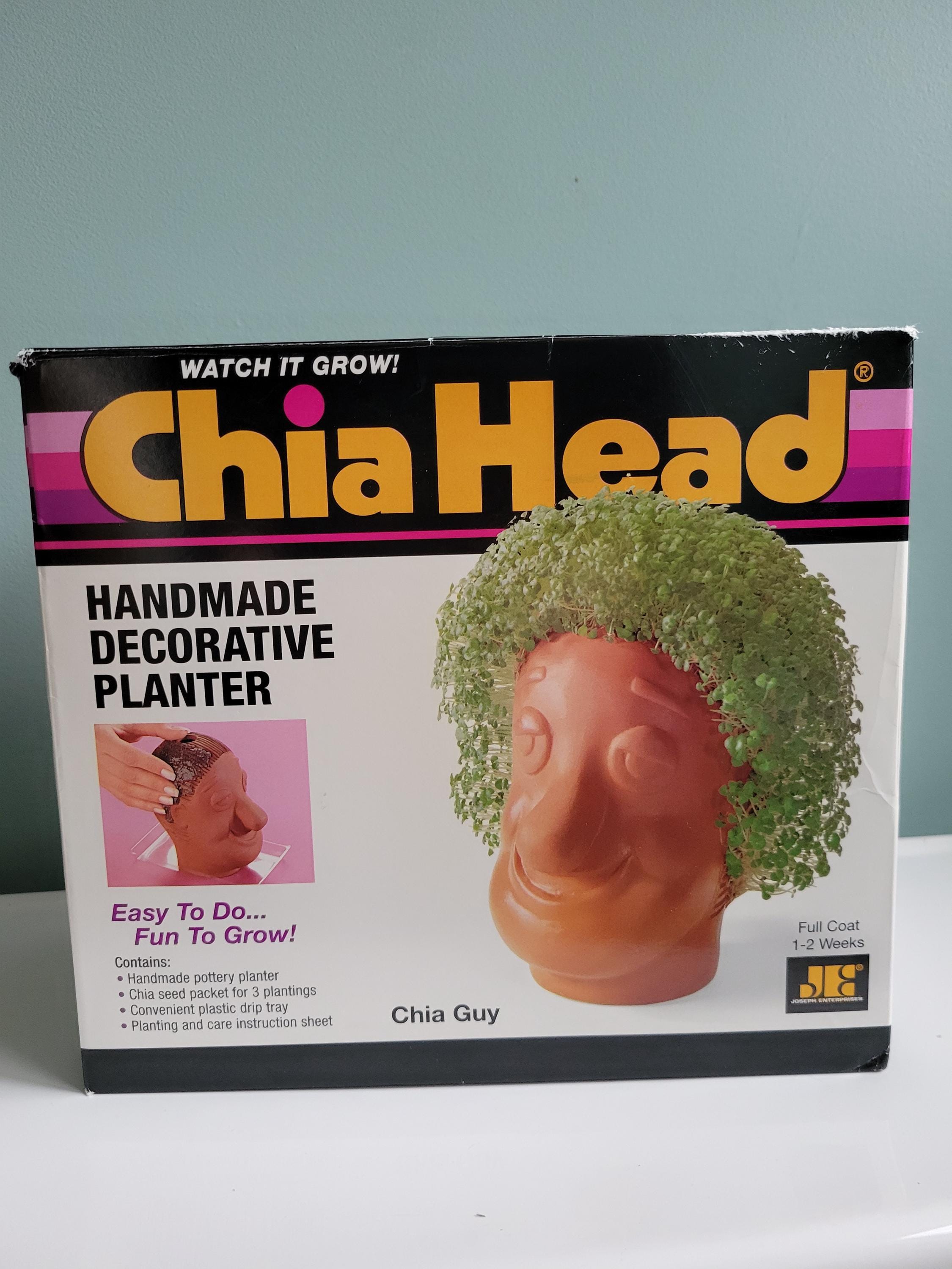 Chia Pet Guy With Seed Pack, Decorative Pottery Planter, Novelty Gift ...
