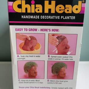 Chia Pet Guy With Seed Pack, Decorative Pottery Planter, Novelty Gift ...