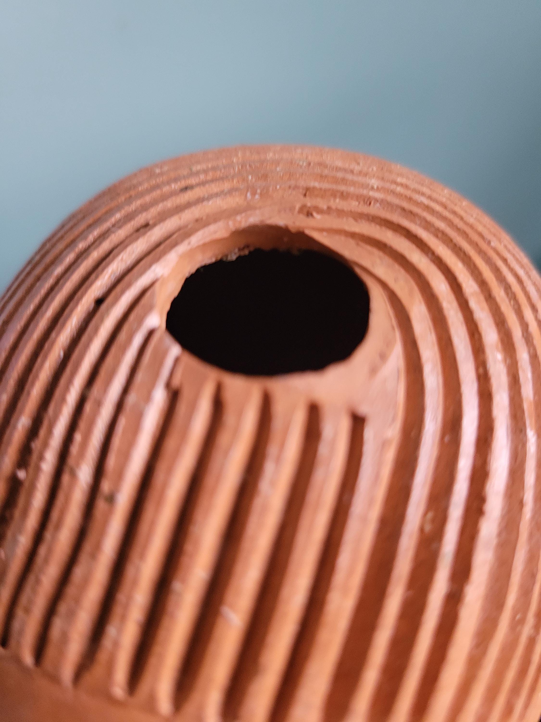 Chia Pet Guy With Seed Pack, Decorative Pottery Planter, Novelty Gift ...