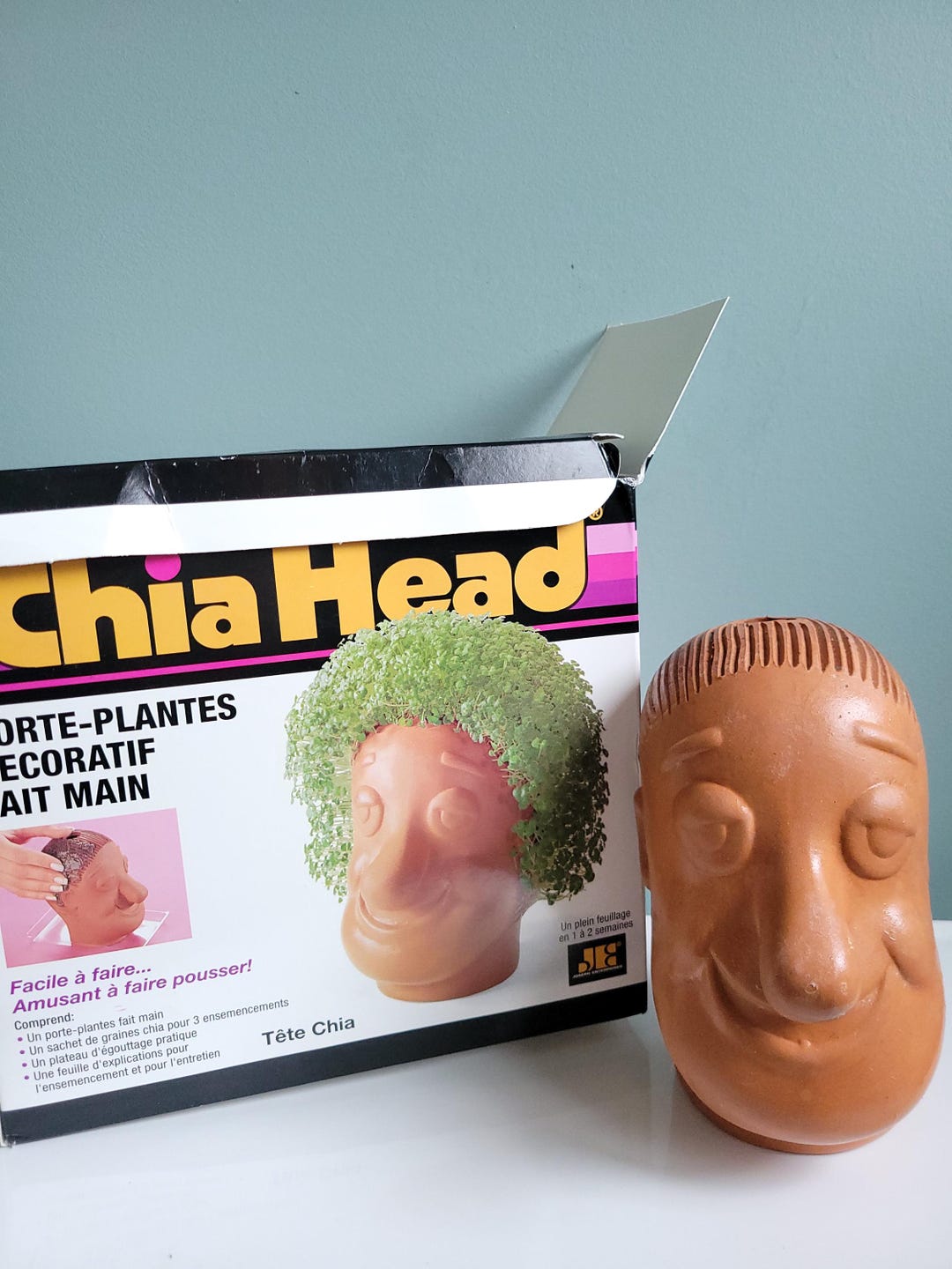 Chia Pet Guy With Seed Pack, Decorative Pottery Planter, Novelty Gift ...