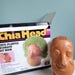 Chia Pet Guy With Seed Pack, Decorative Pottery Planter, Novelty Gift ...