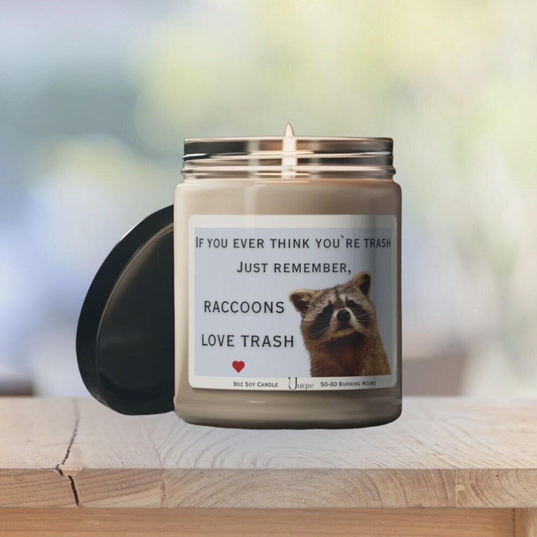 Raccoons Love Trash, Motivational Candle, Cheer up Gift, Raccoon Candle ...