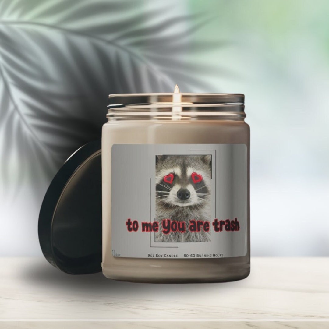 To Me You Are Trash, Vegan Candle, Raccoons Loves Trash, Motivational ...