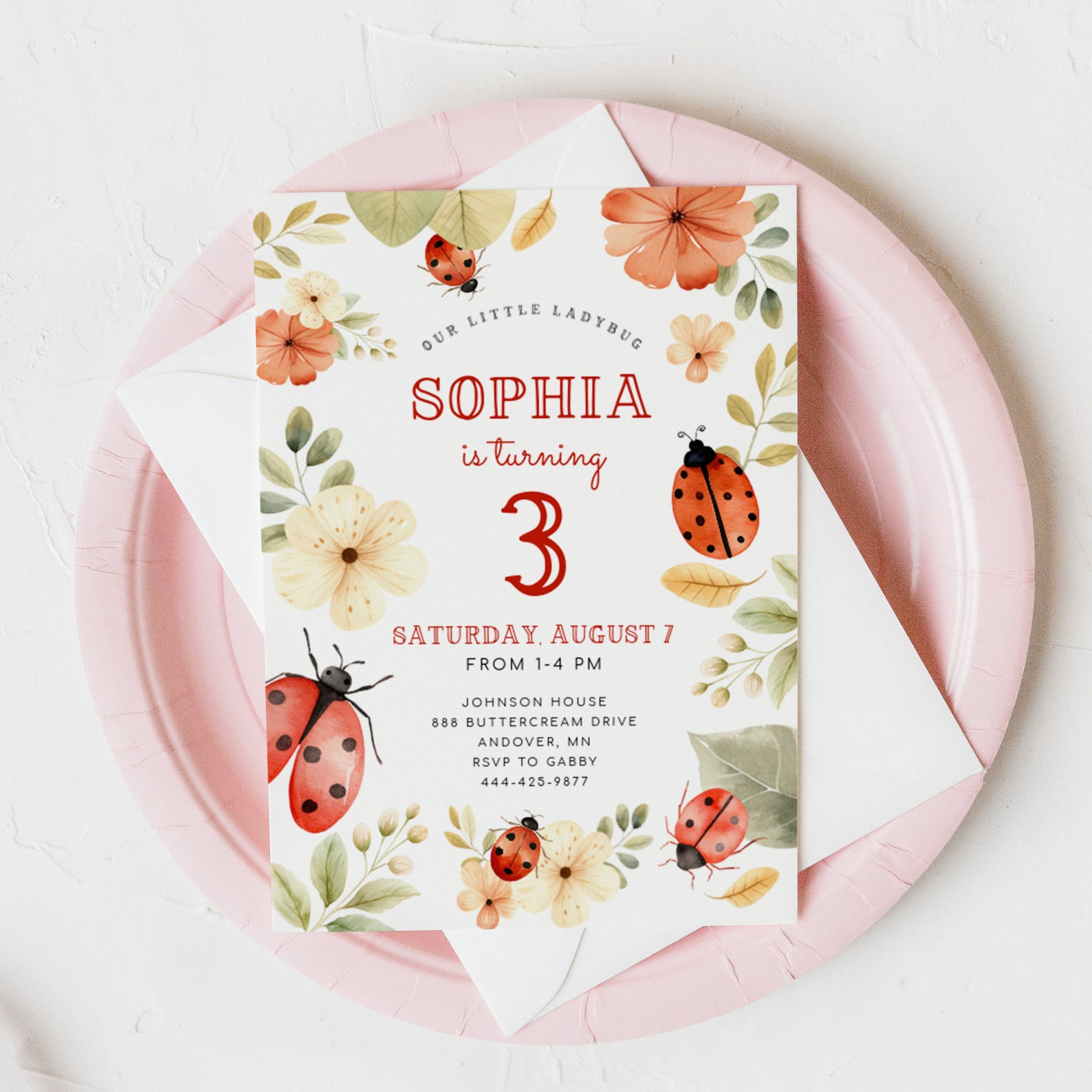 Editable Ladybug Birthday Invitation Instant Download Ladybug First ...