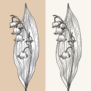 May Birth Flower Lily of the Valley Clipart, Hand-drawn Floral ...
