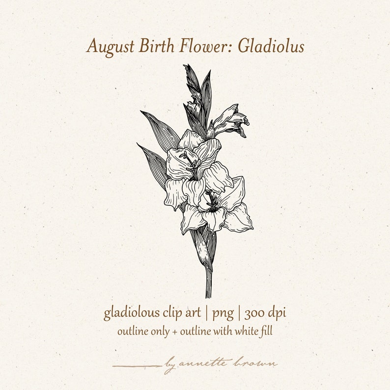 August Birth Flower Clipart, Hand-drawn Gladiolus Illustration, Floral ...