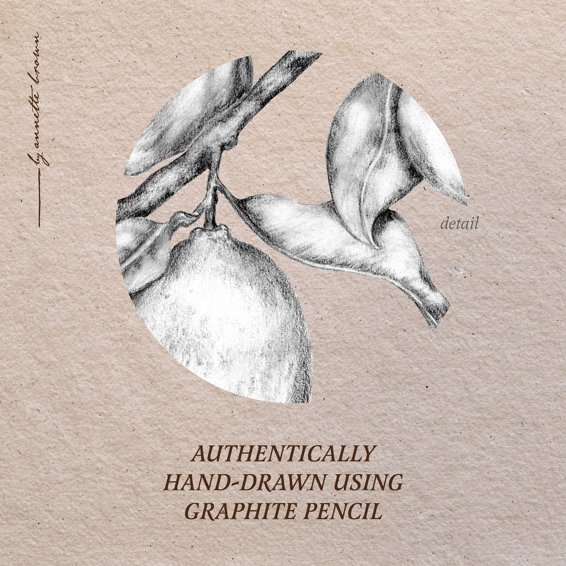 Lemon Branch Pencil Illustration | Hand-drawn | High Resolution ...