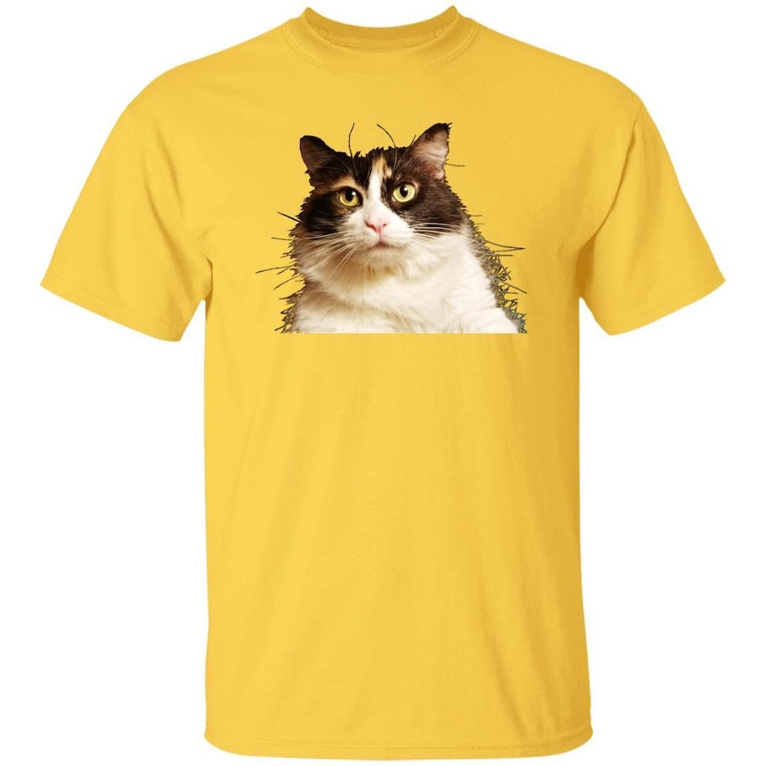 Graphic T-shirt With Calico Cat, Cat Person Shirt, Unique and Best Gift ...
