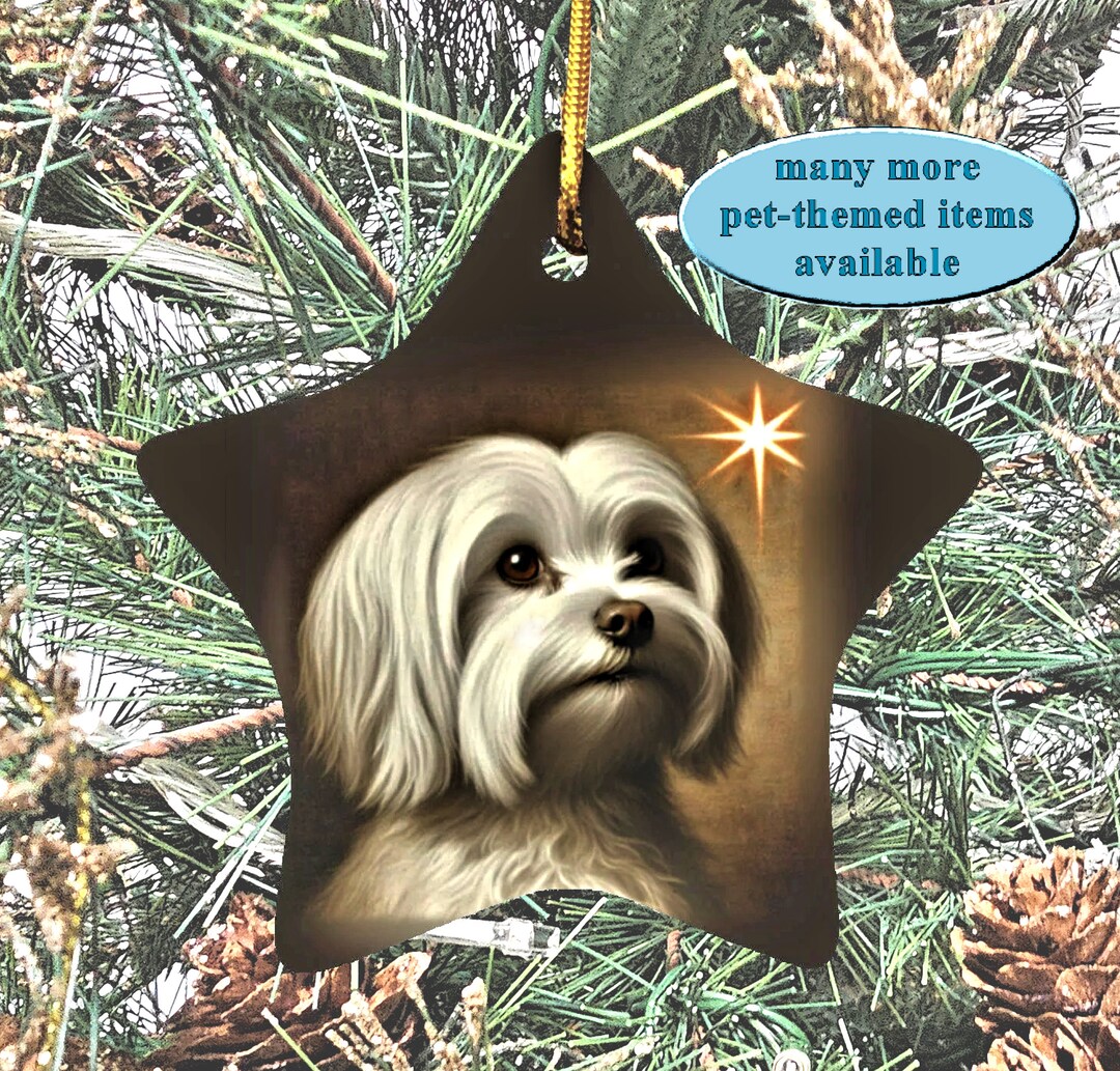 Maltese Dog and the Star of Bethlehem on a Christmas Star Tree Ornament ...