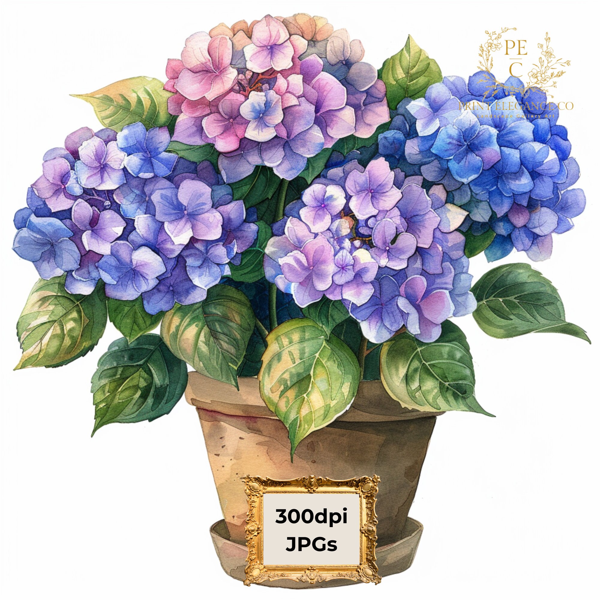 Flowers in Clay Pots Clipart Bundle, 13 High-quality JPG, Craft Art ...