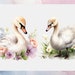 12 Watercolor Baby Swans Clipart Pack, Clipart for Commercial Use ...
