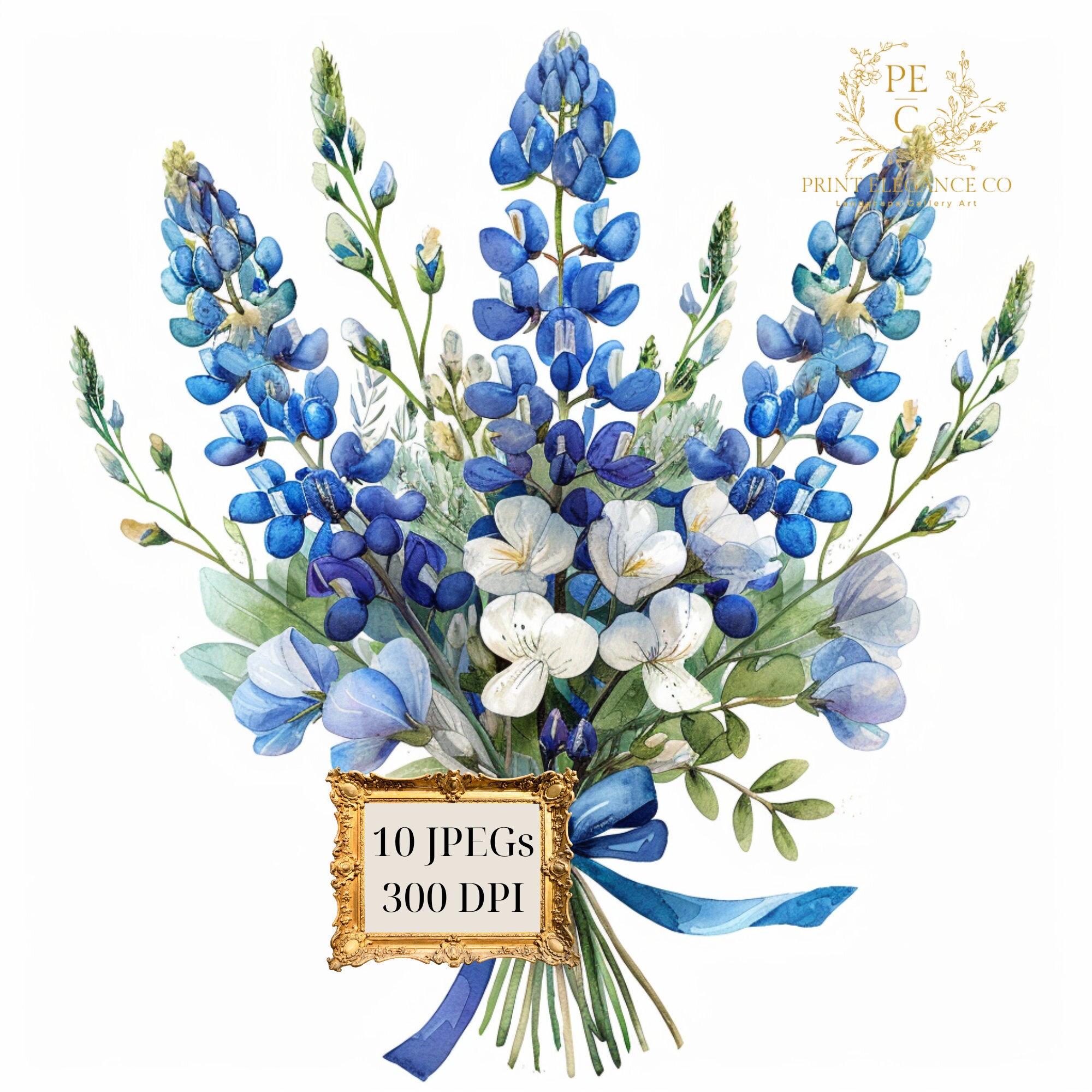 Watercolor Bluebonnet Clipart Bundle, Texas Bluebonnet Clipart, Floral ...