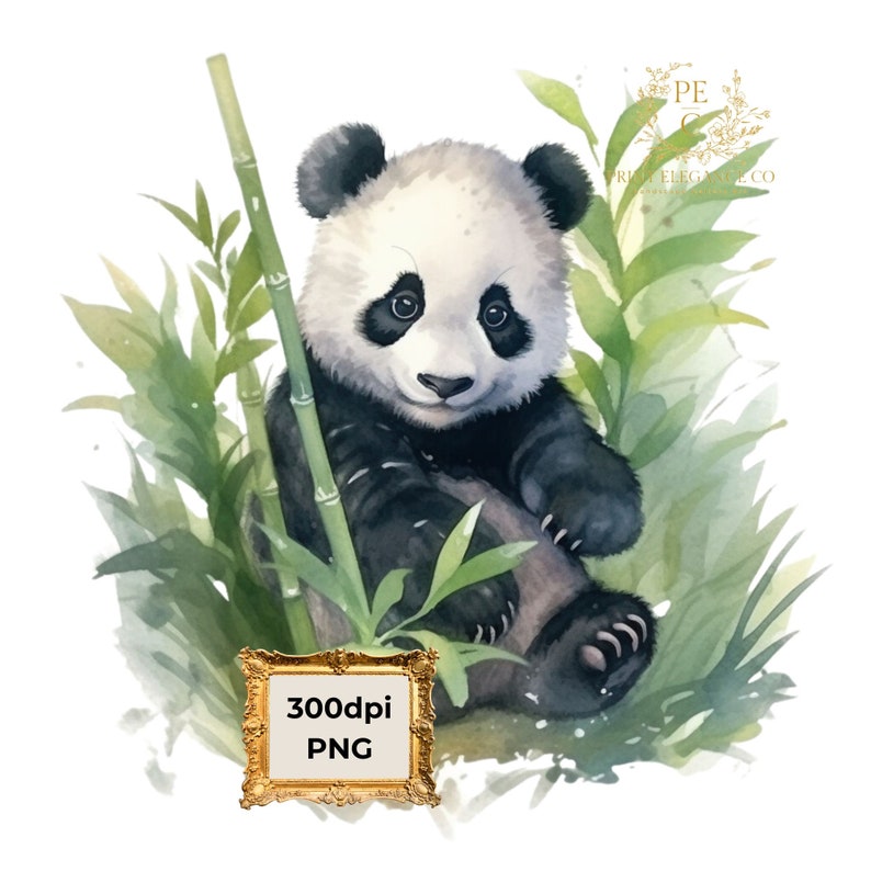 Watercolor Cute Baby Panda Clipart , Digital Download, Instant Download ...