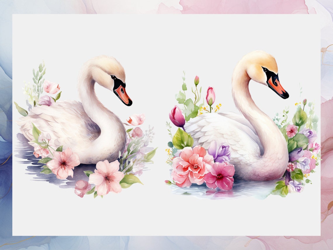 12 Watercolor Baby Swans Clipart Pack, Clipart for Commercial Use ...