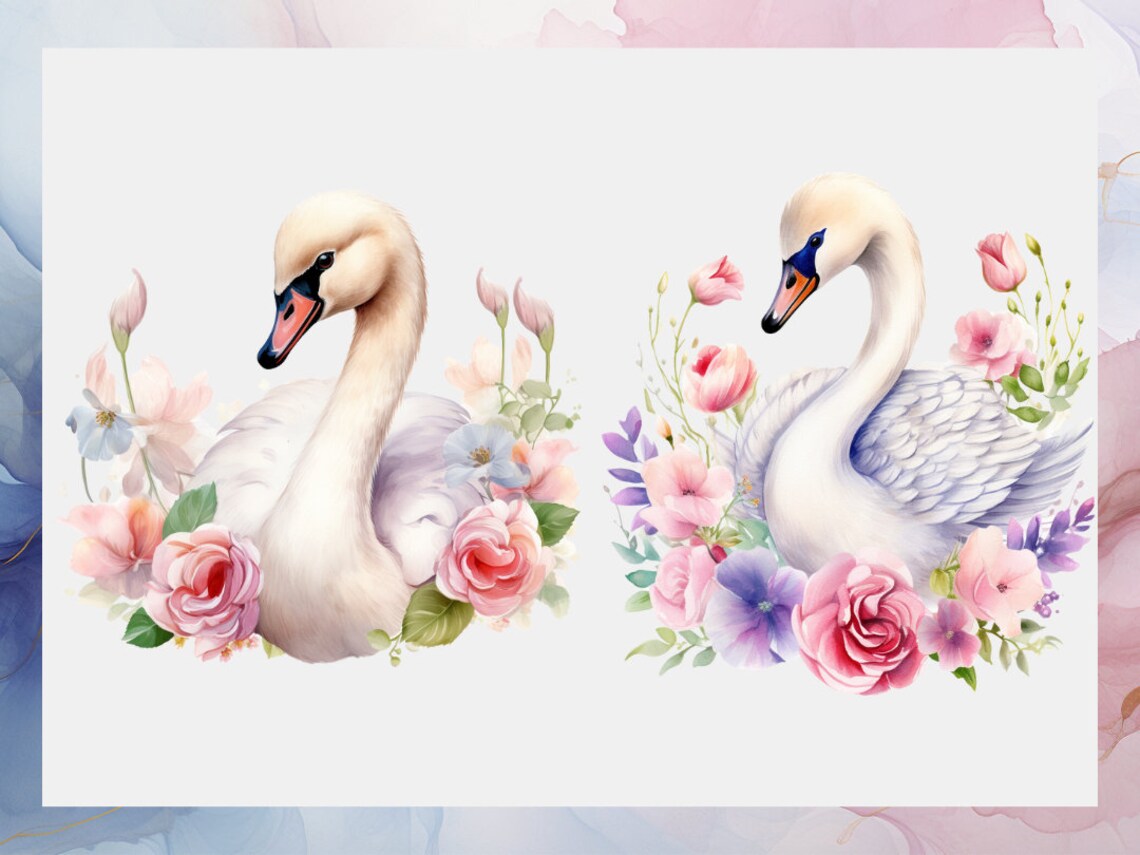 12 Watercolor Baby Swans Clipart Pack, Clipart for Commercial Use ...