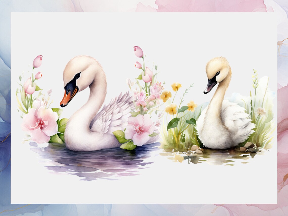 12 Watercolor Baby Swans Clipart Pack, Clipart for Commercial Use ...