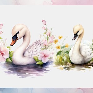 12 Watercolor Baby Swans Clipart Pack Clipart for Commercial Use ...