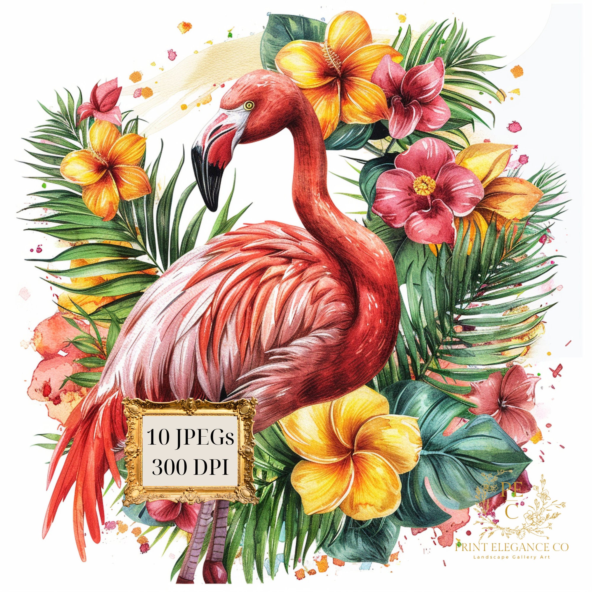 Watercolor Pink Flamingo Clipart Bundle 10 Jpegs Tropical Birds With ...