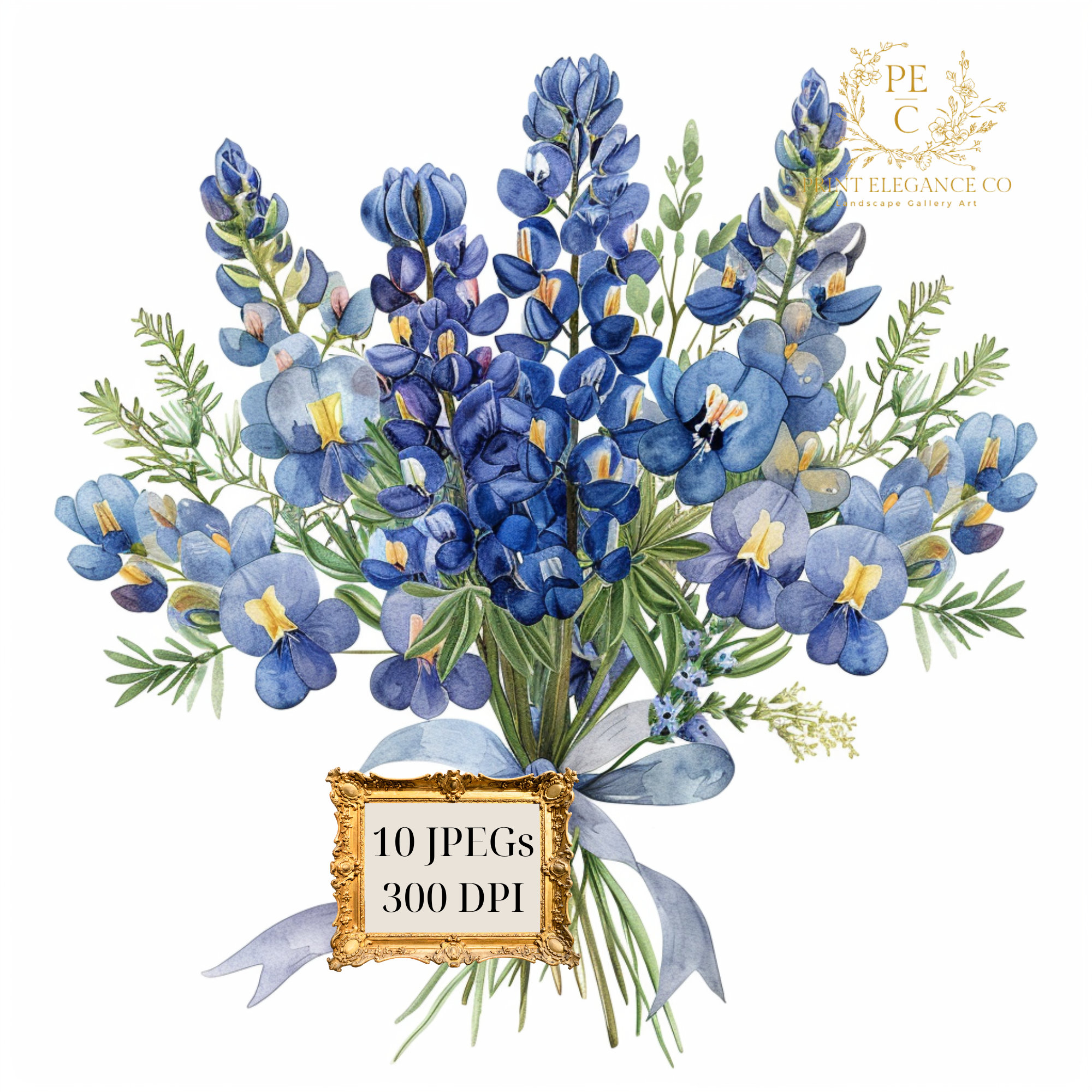 Watercolor Bluebonnet Clipart Bundle, Texas Bluebonnet Clipart, Floral ...