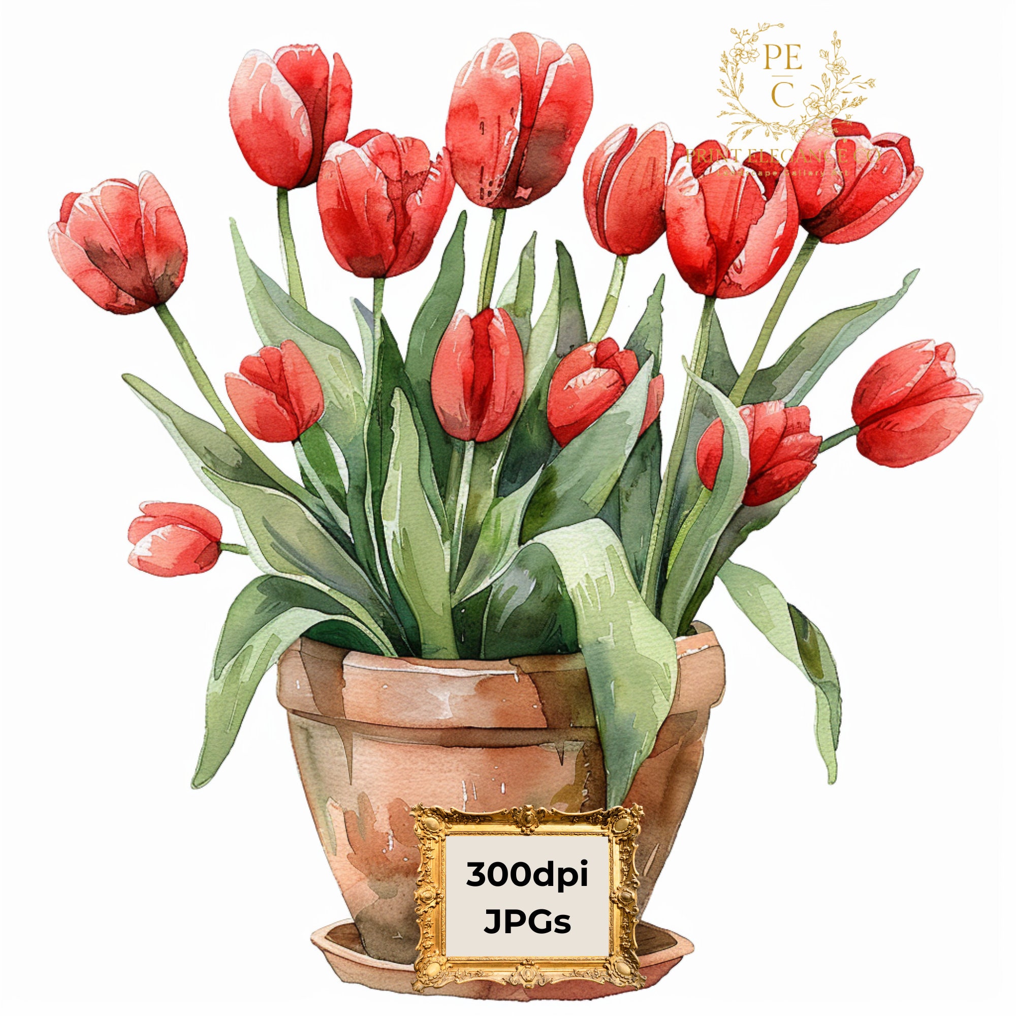 Flowers in Clay Pots Clipart Bundle, 13 High-quality JPG, Craft Art ...