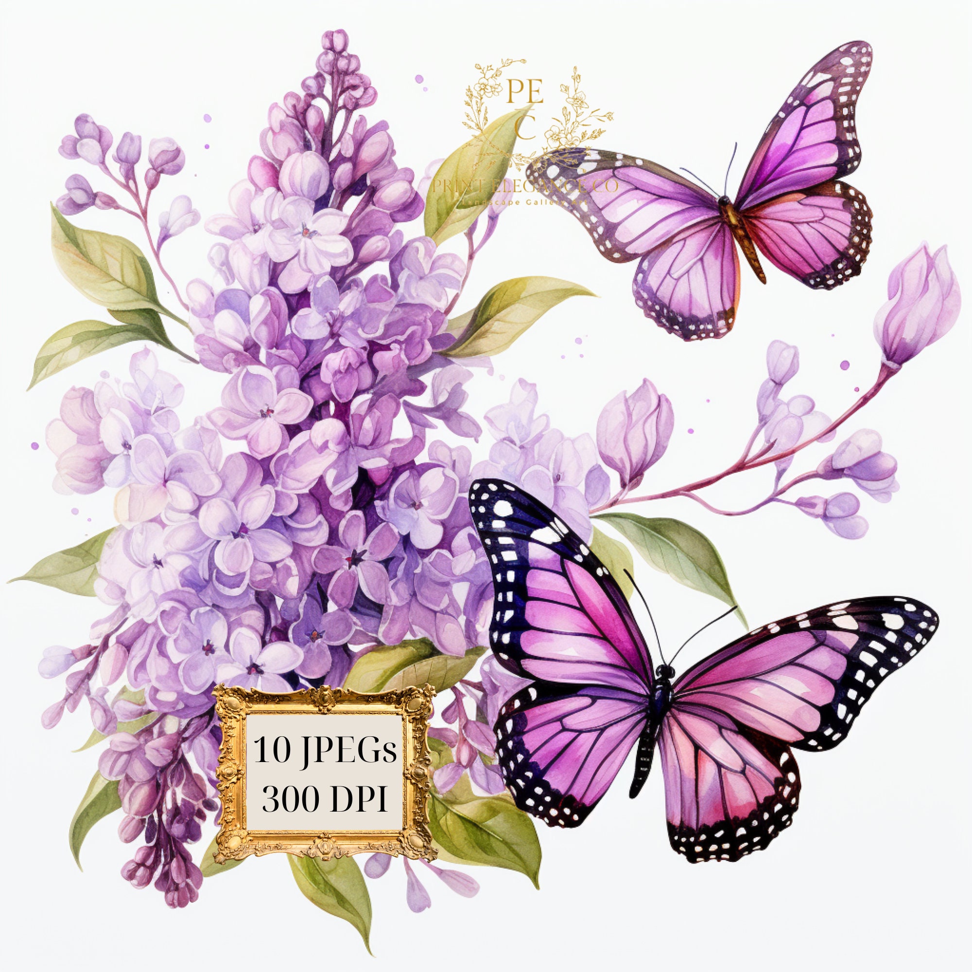 Watercolor Lilac Clipart Instant Download for Commercial Use Watercolor ...