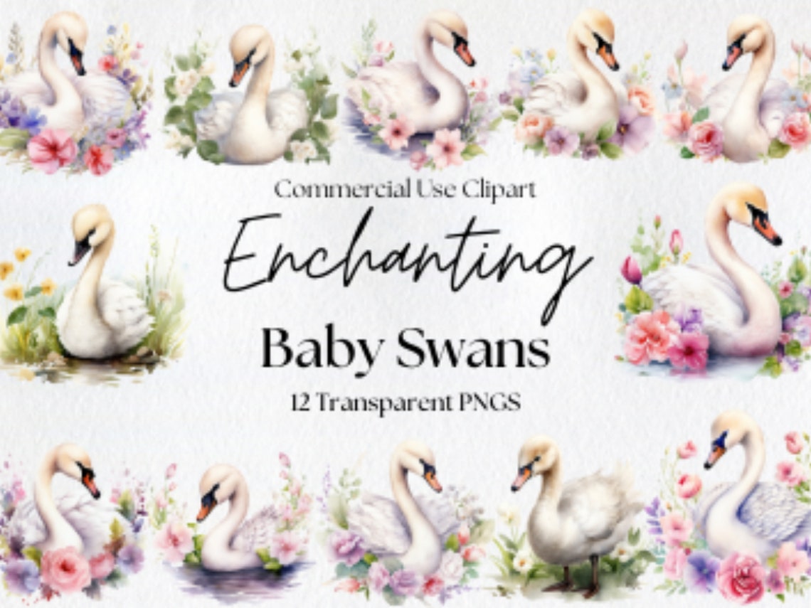 12 Watercolor Baby Swans Clipart Pack, Clipart for Commercial Use ...
