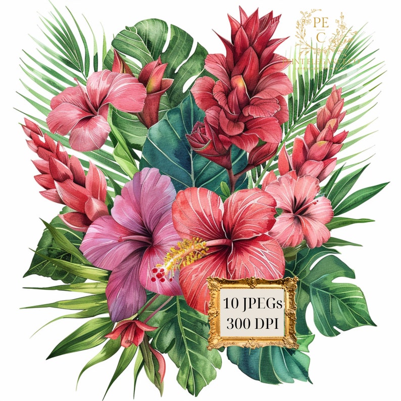 Tropical Watercolor Floral Clipart, Summer Clipart, Tropical Flowers ...