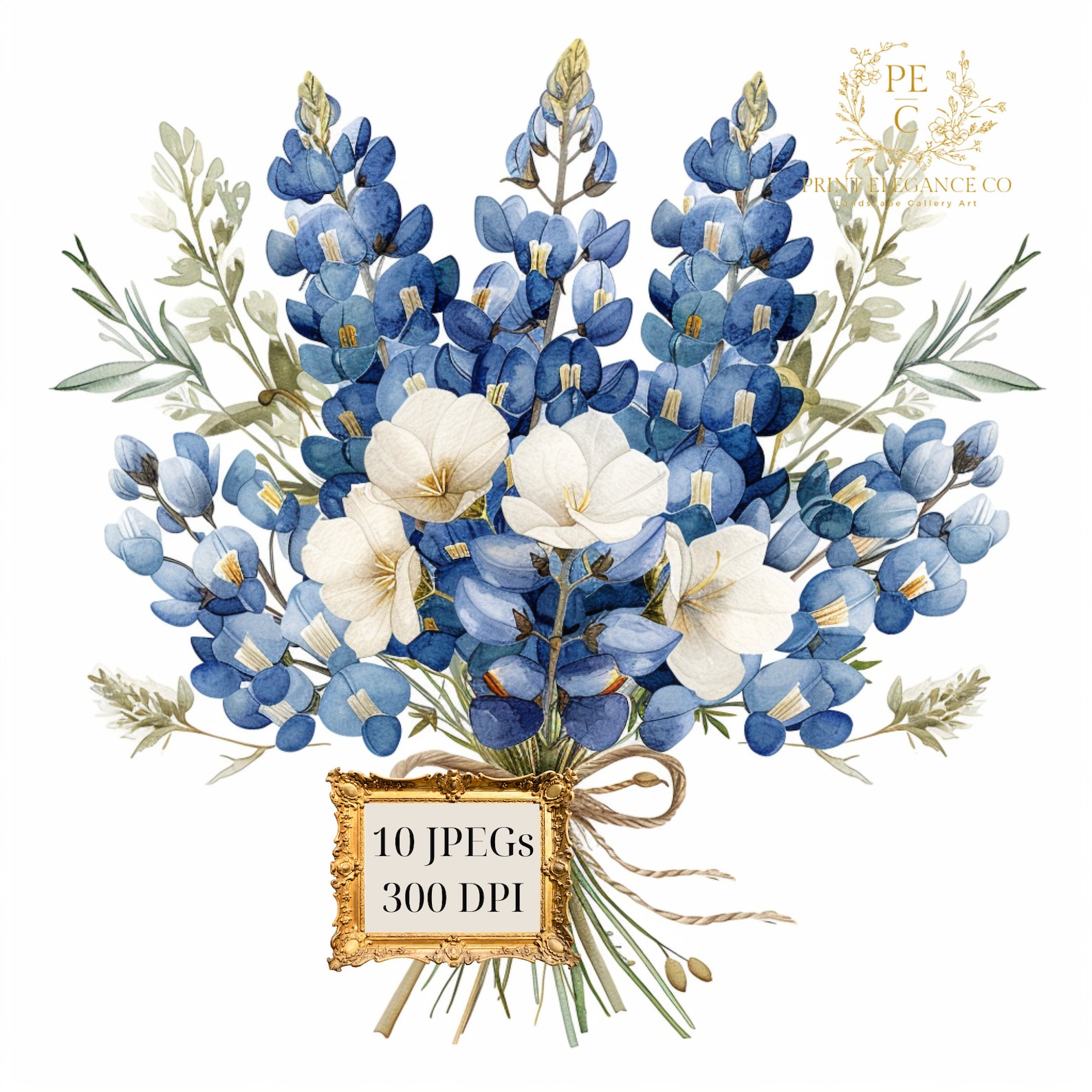 Watercolor Bluebonnet Clipart Bundle, Texas Bluebonnet Clipart, Floral ...