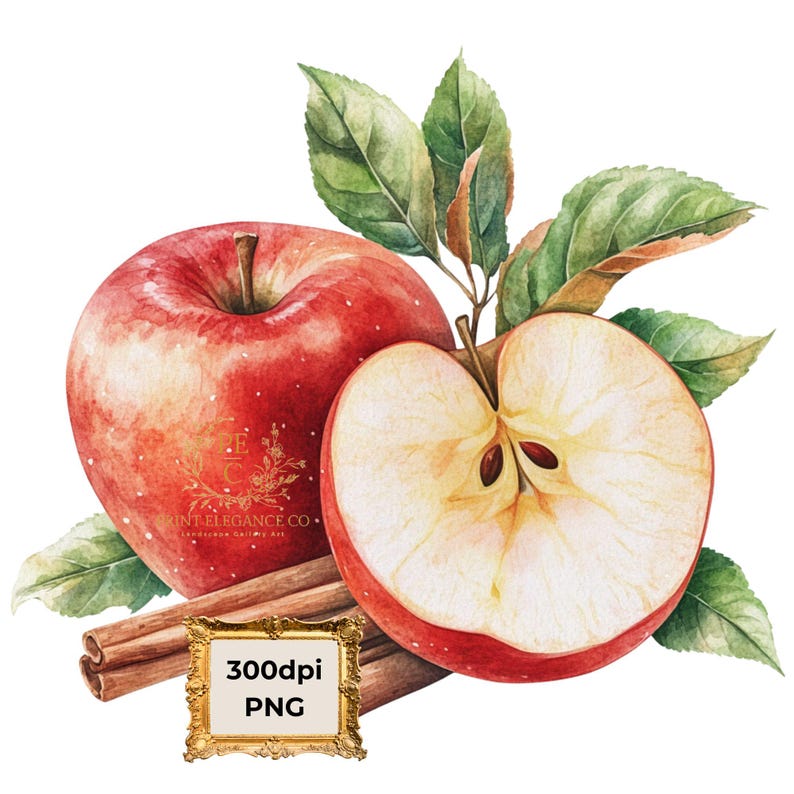 Watercolor Apples With Cinnamon Sticks Fall Clipart | SINGLE IMAGE PNG ...