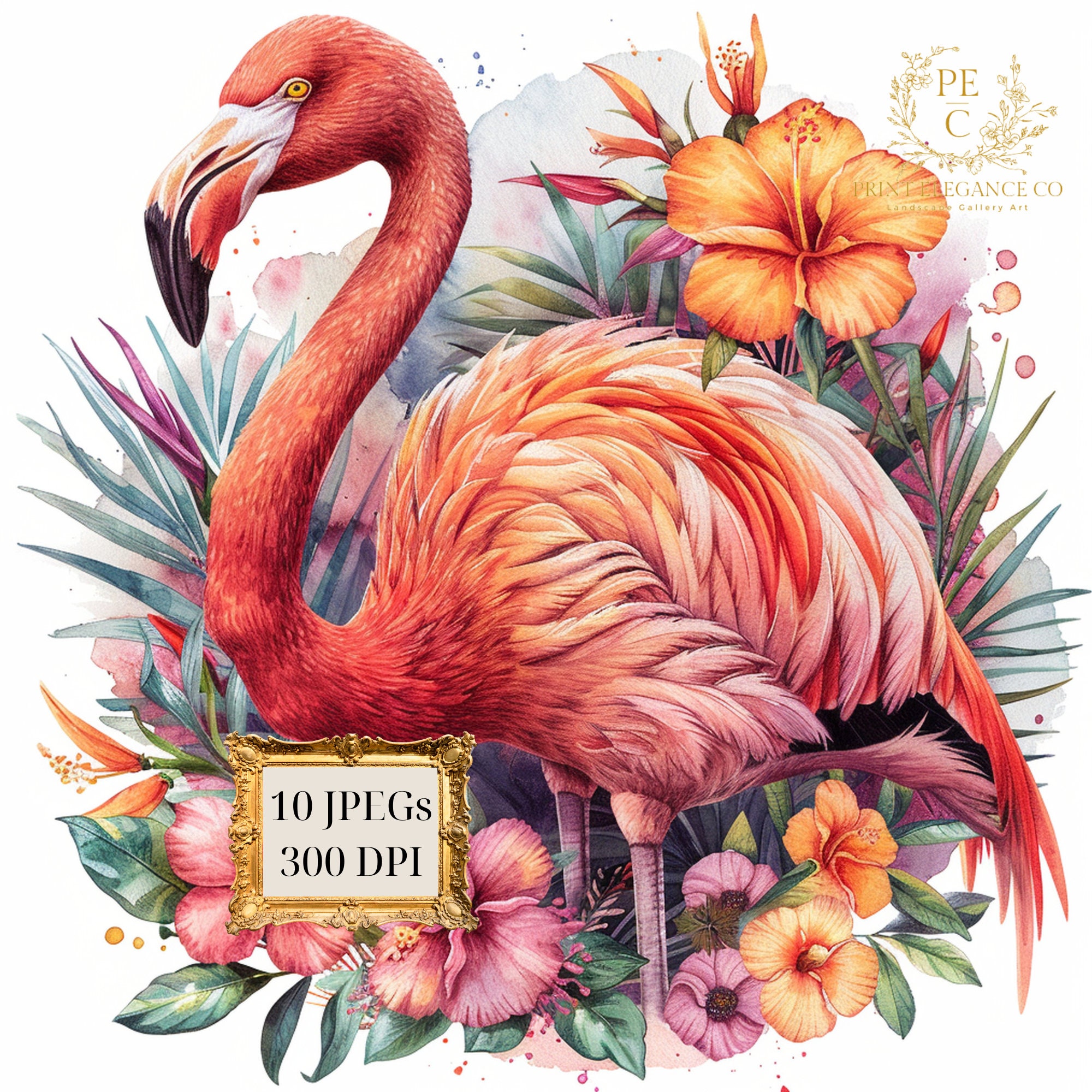 Watercolor Pink Flamingo Clipart Bundle 10 Jpegs Tropical Birds With ...