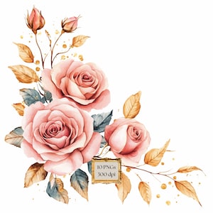 Blush Pink and Rose Gold Floral Clipart, Rose Gold Flowers, Dusty Pink ...