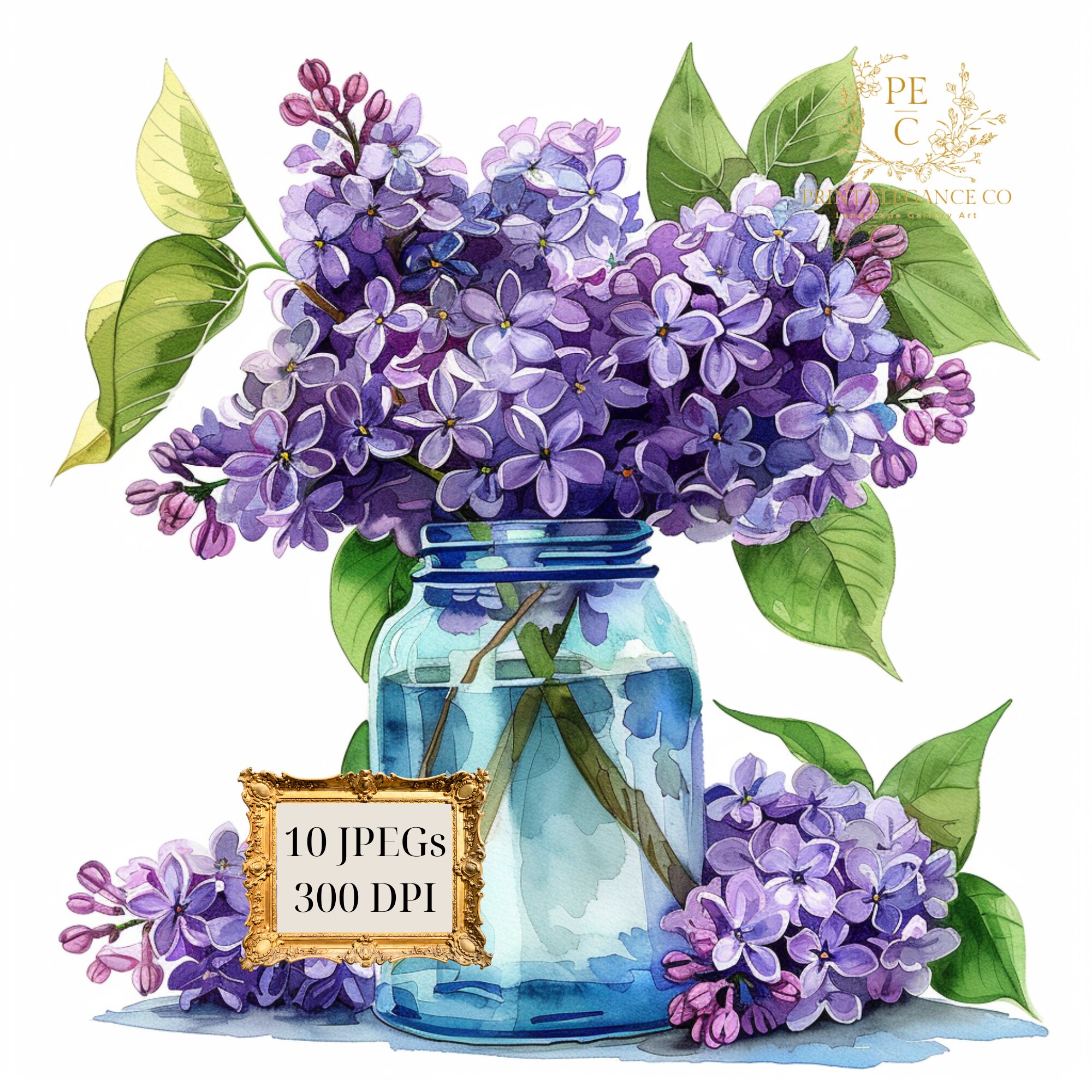 Watercolor Lilac Clipart Instant Download for Commercial Use Watercolor ...